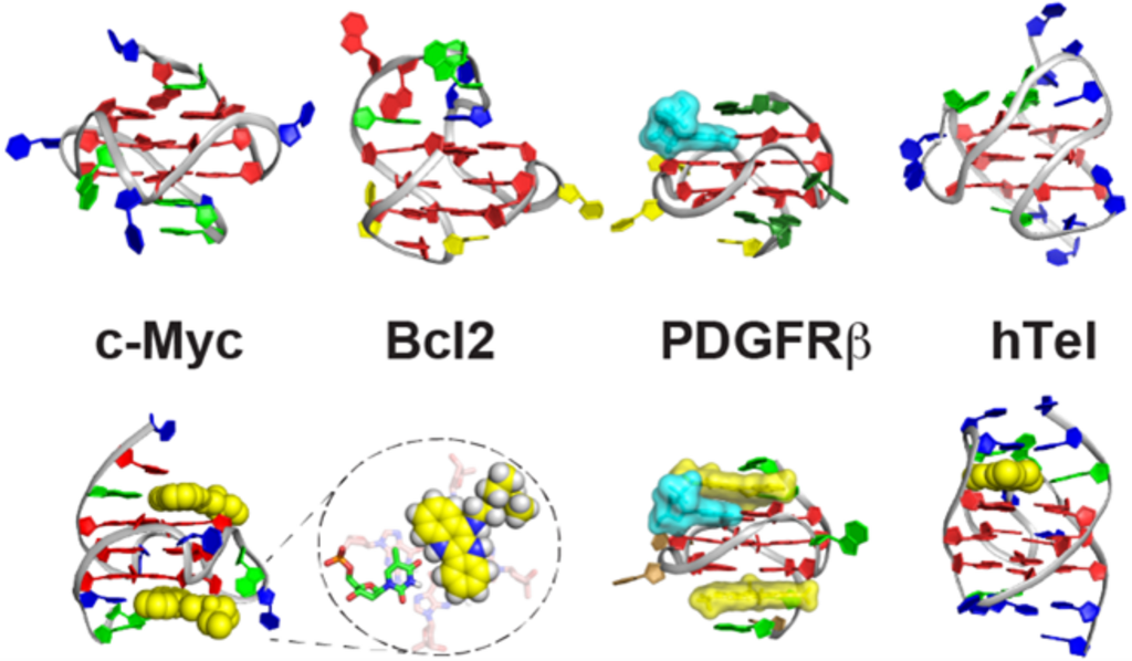 Danzhou Yang, Ph.D. | Center for Biocatalysis and Bioprocessing ...